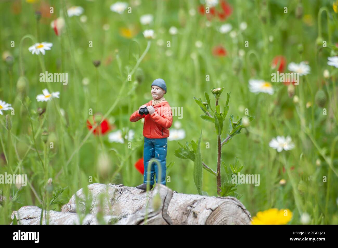 Tinymodel Boy Sunny Driverlayer Search Engine Tinymodel Boy Sunny Driverlayer Search Engine