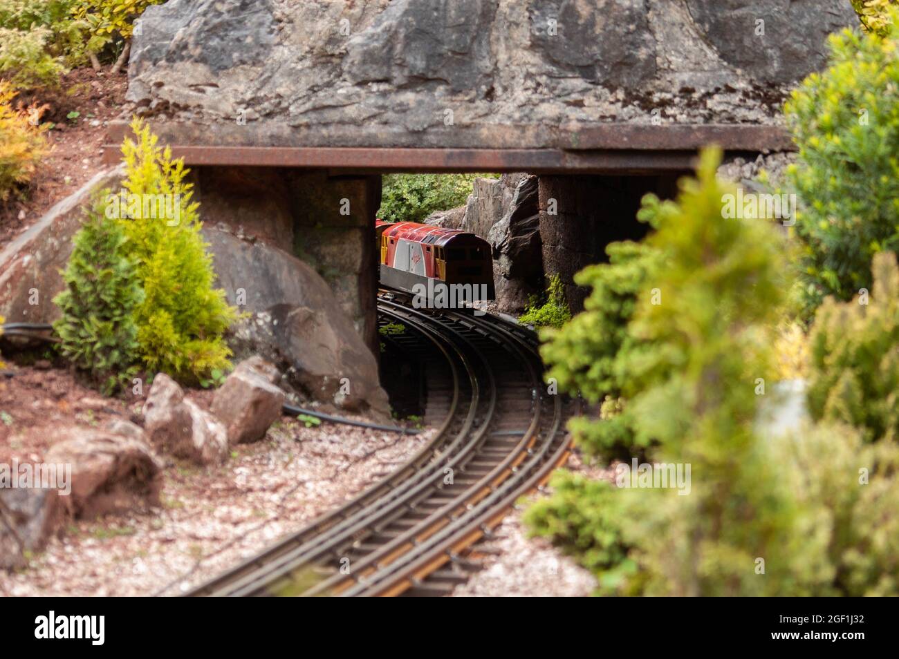 Closeup of tiny moving model train on a miniature railway track Stock ...