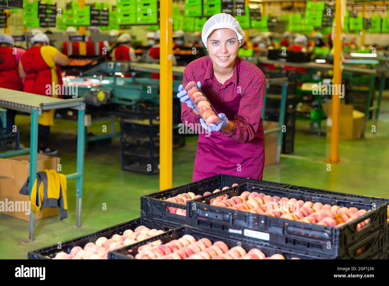 European female employee working Stock Photo - Alamy