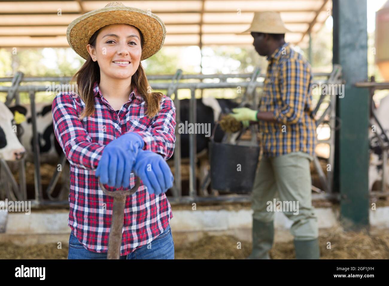 Positive livestock farm worker hi-res stock photography and images - Alamy