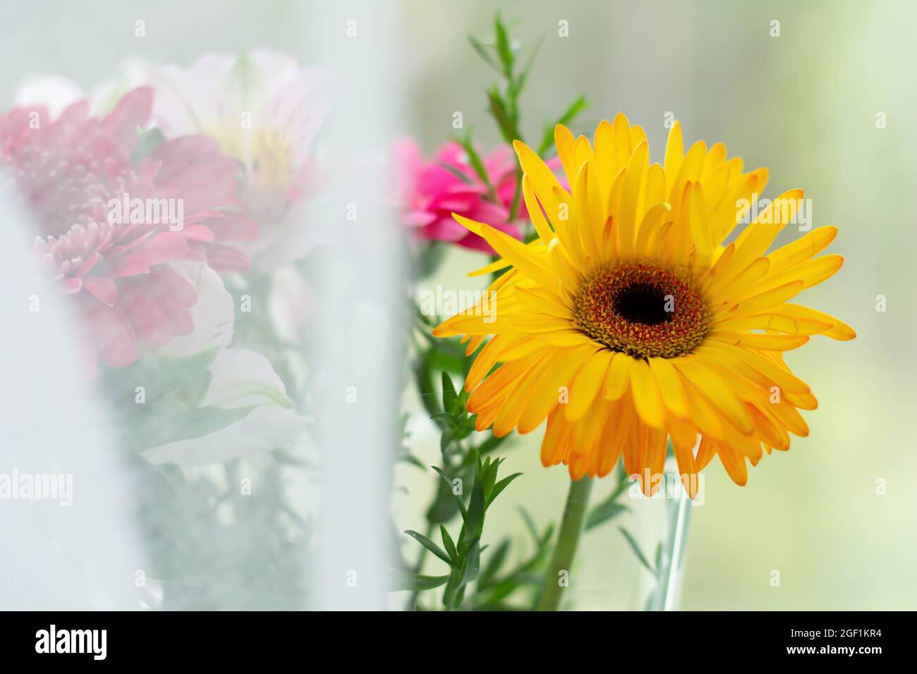 Beautiful flowers close-up. Bouquet of multicolored flowers on a white ...