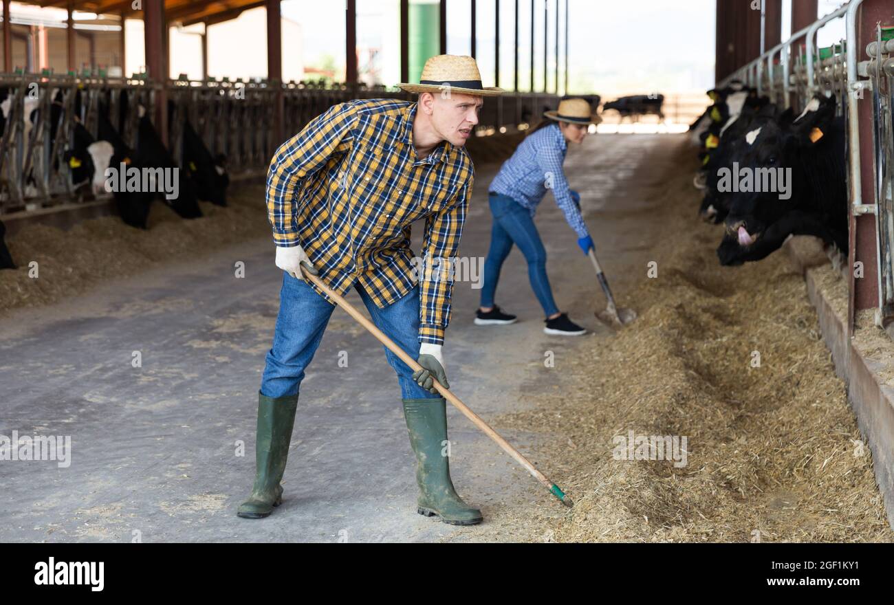 Diligent farmer hi-res stock photography and images - Alamy
