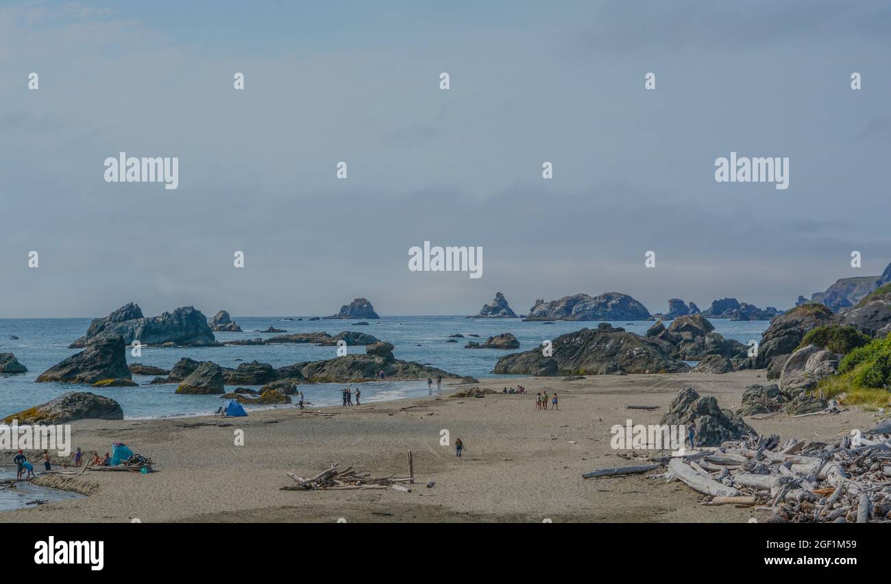 Lone Ranch Beach with a rocky coastline on the Pacific Ocean in ...