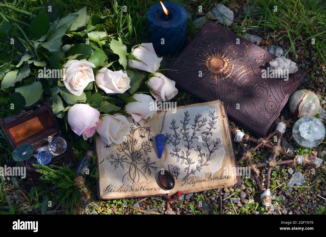 Still life with diary with botanical drawings on pages, crystals and ...