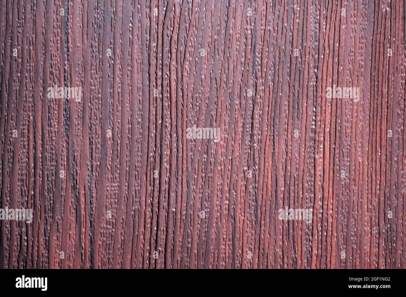 Mahogany, natural red wood surface with vertical stripes. Background ...