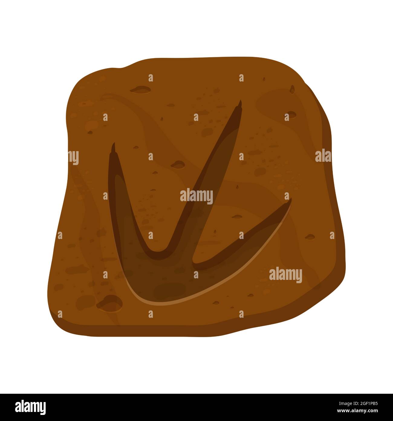 Cartoon Fossils