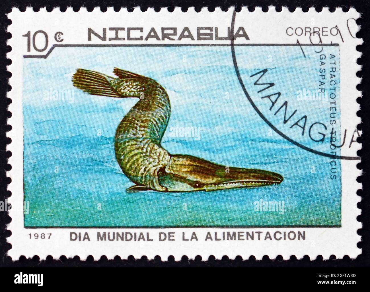 NICARAGUA - CIRCA 1987: a stamp printed in Nicaragua shows tropical gar ...