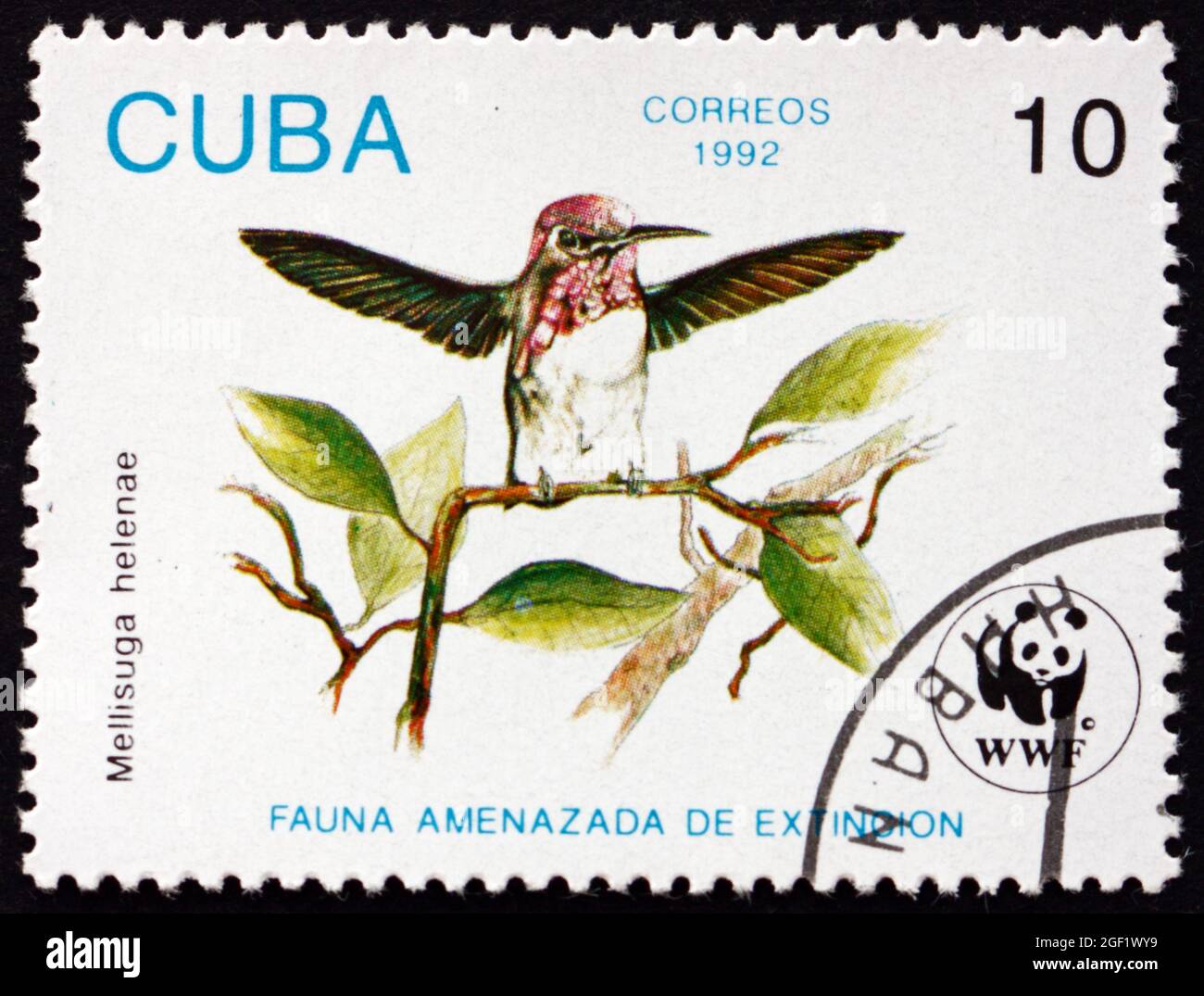 Cuban bee hummingbird hi-res stock photography and images - Alamy