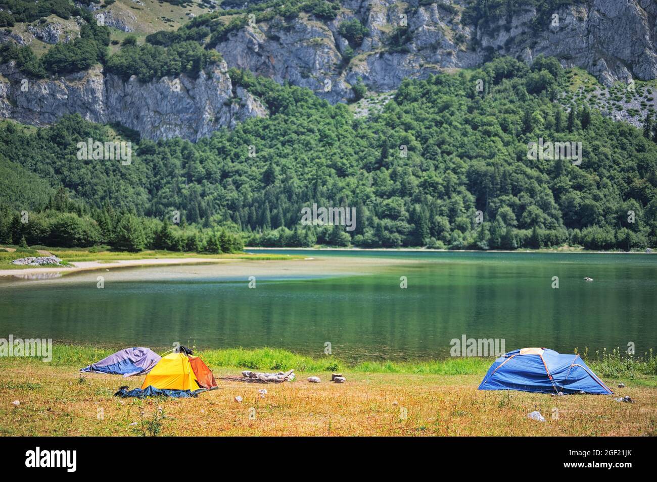 Camping in forest near lake hi-res stock photography and images - Alamy