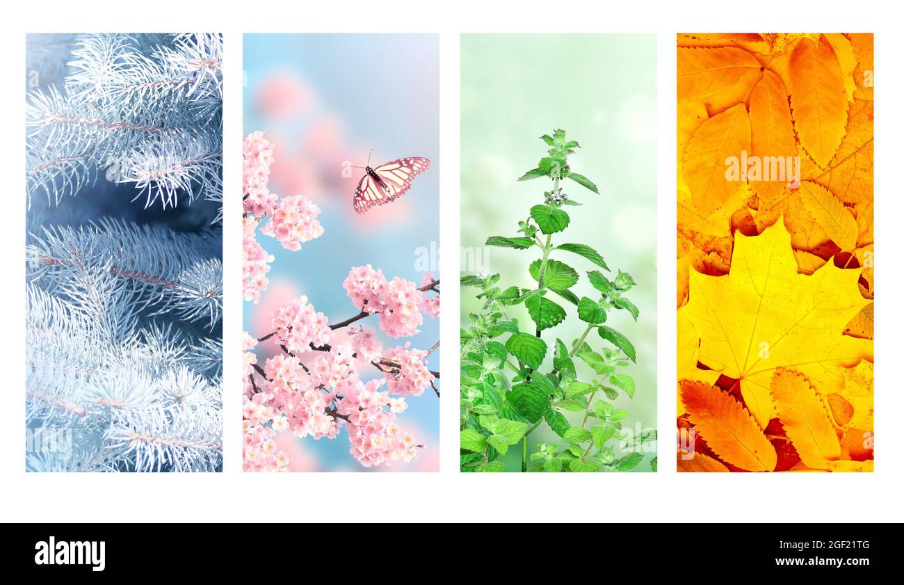 Four seasons of year. Set of vertical nature banners with winter ...