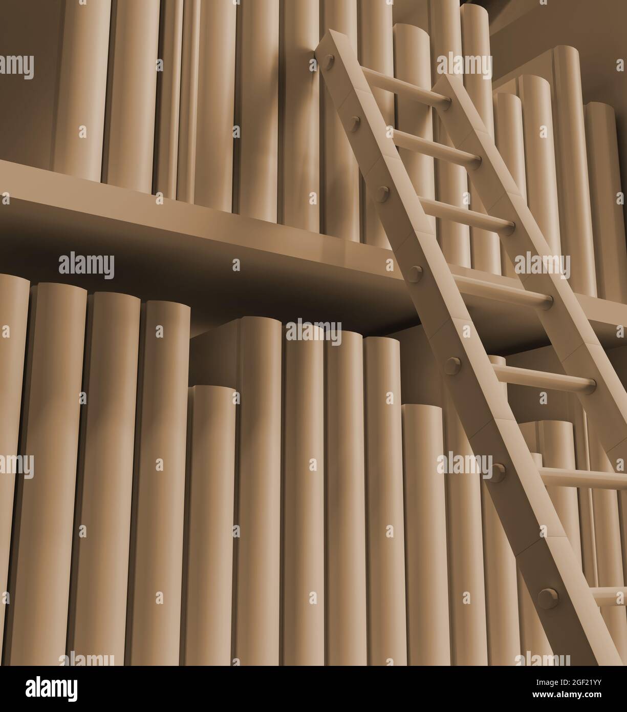 Monochromatic minimalist library books in shelf with a ladder. 3D ...