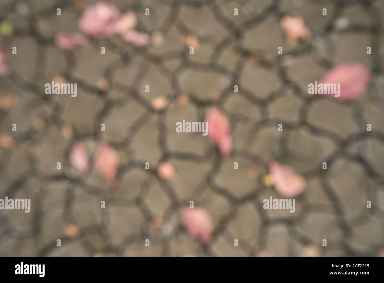 Top view of blurry cracked and dry ground Stock Photo - Alamy