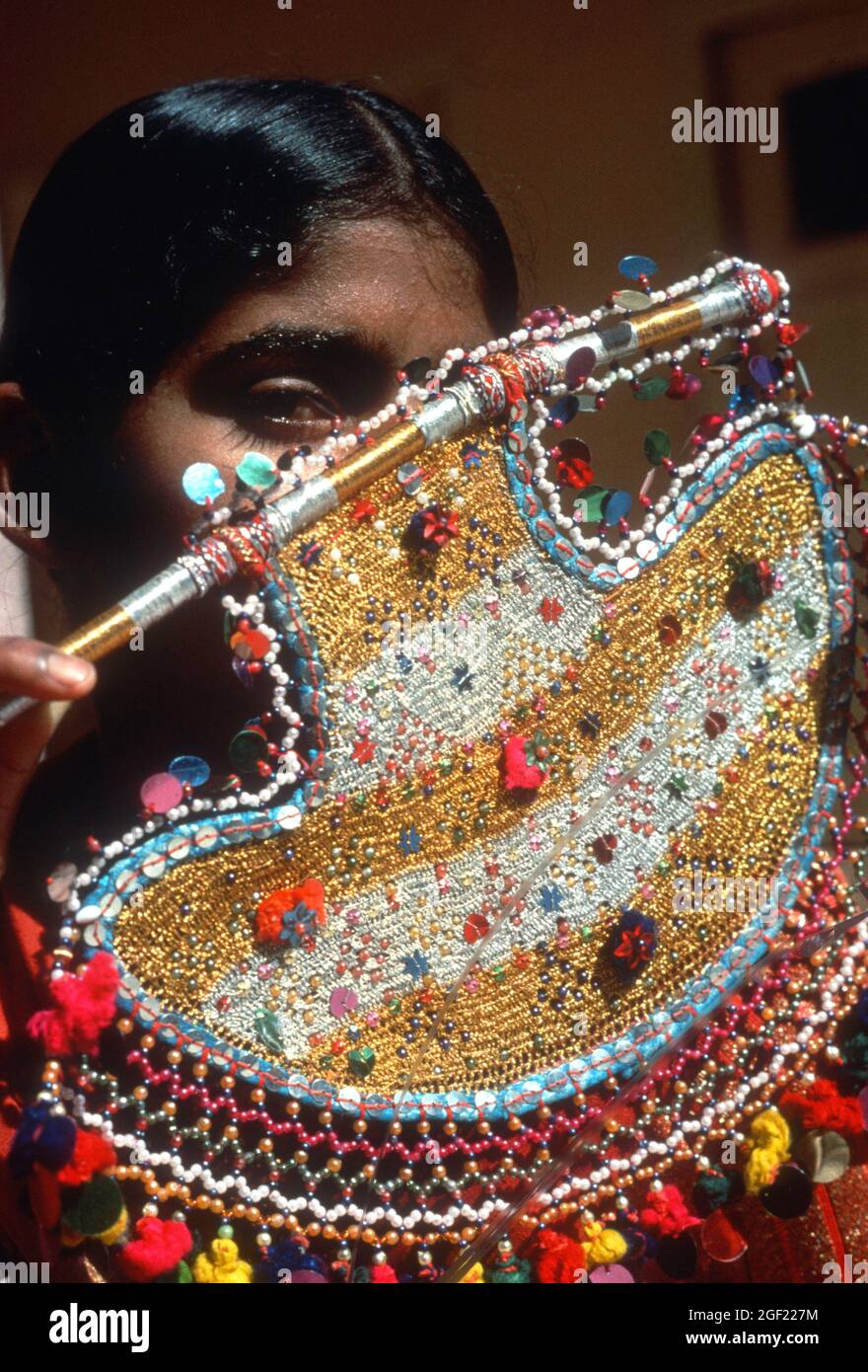 Pakistani Sindhi Girls Mobile Numbers