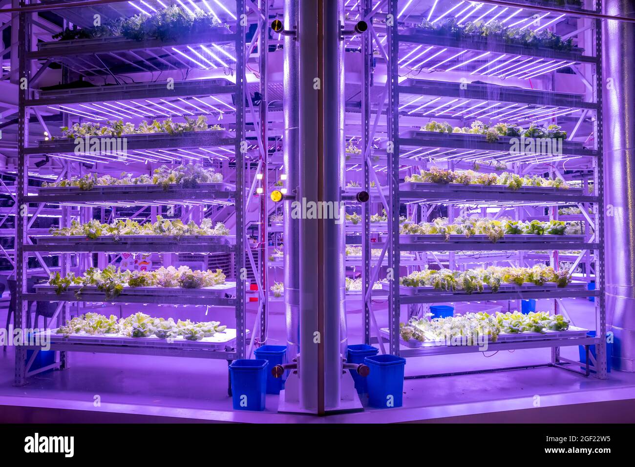 K-FARM the first urban farm in Hong Kong incorporating hydroponics ...