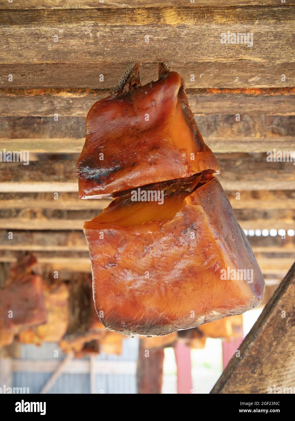Specialty of iceland called hakarl (fermented shark) in open warehouse ...