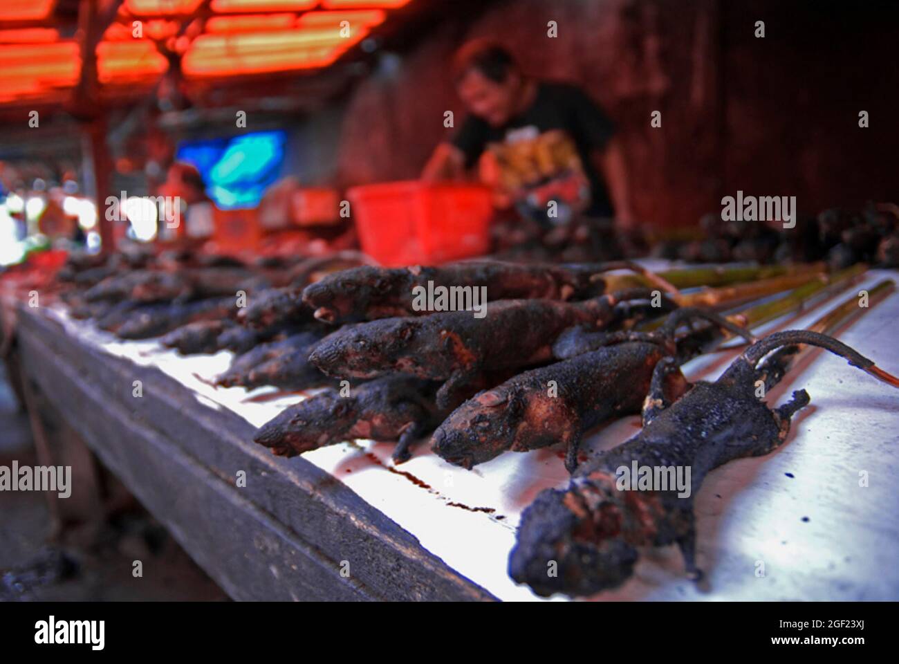 Rat meat at meat market in Tomohon, North Sulawesi, Indonesia Stock ...