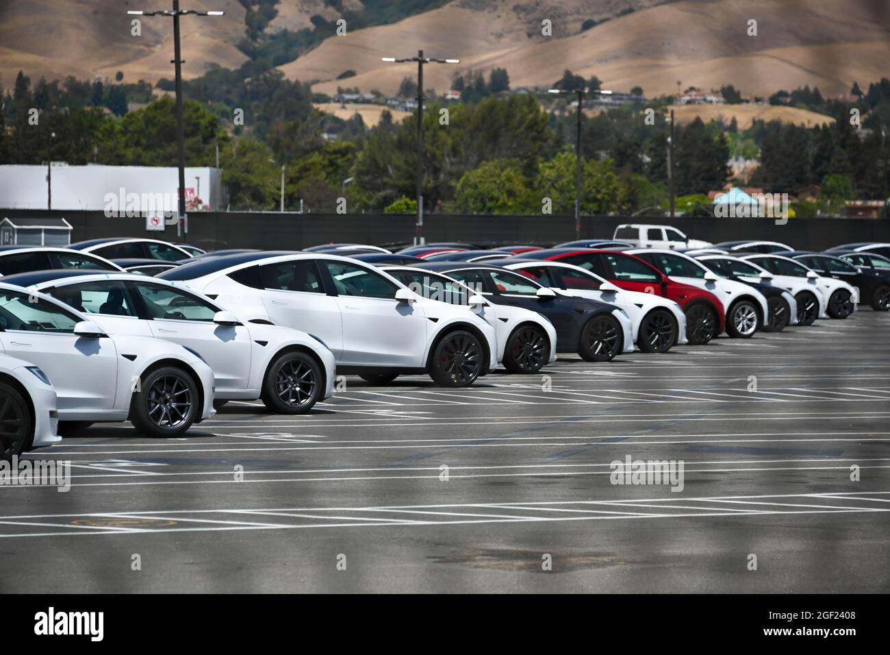 Tesla vehicles seen at the Tesla Factory and Headquarters on Saturday ...
