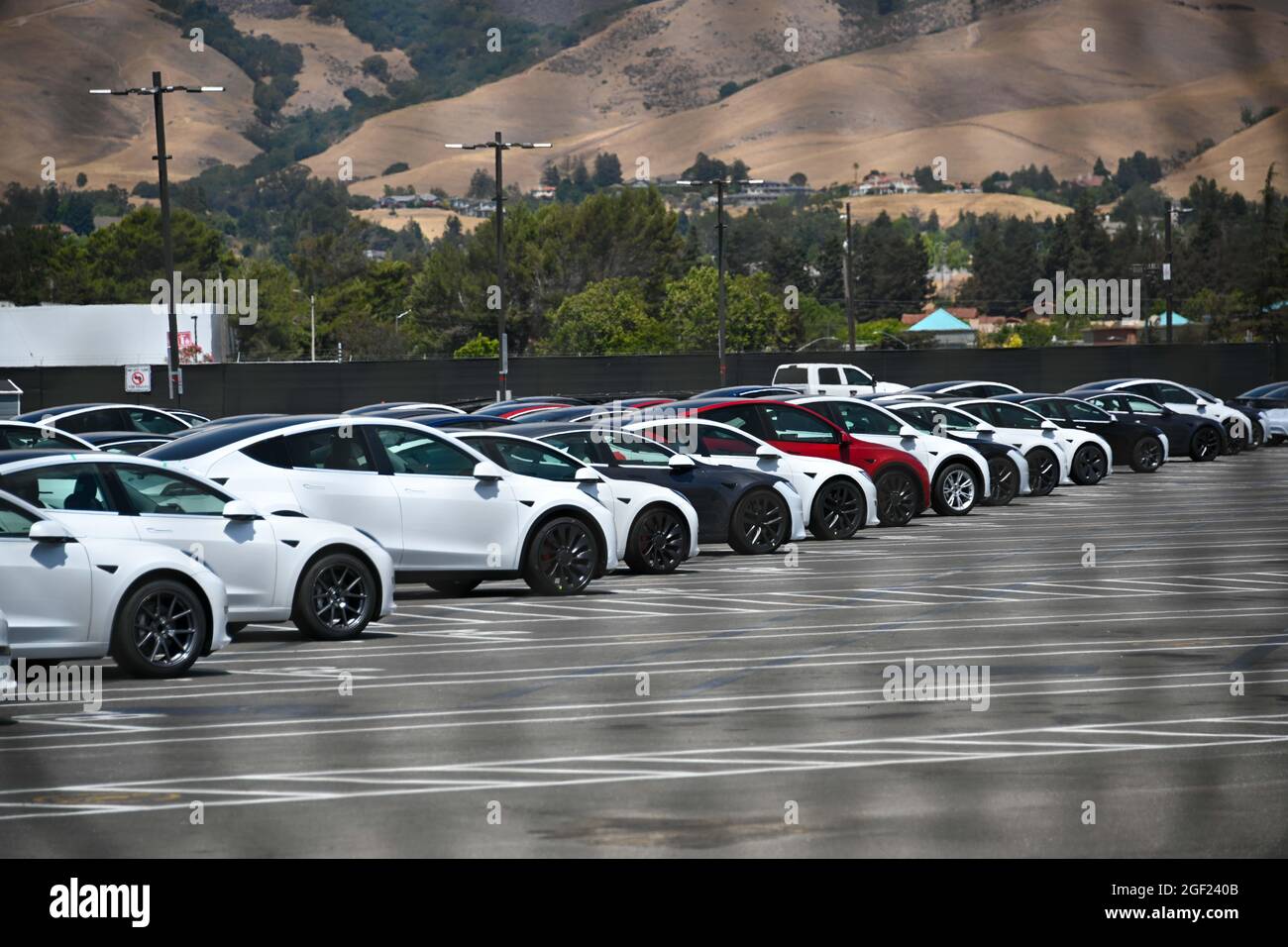 Tesla vehicles seen at the Tesla Factory and Headquarters on Saturday ...