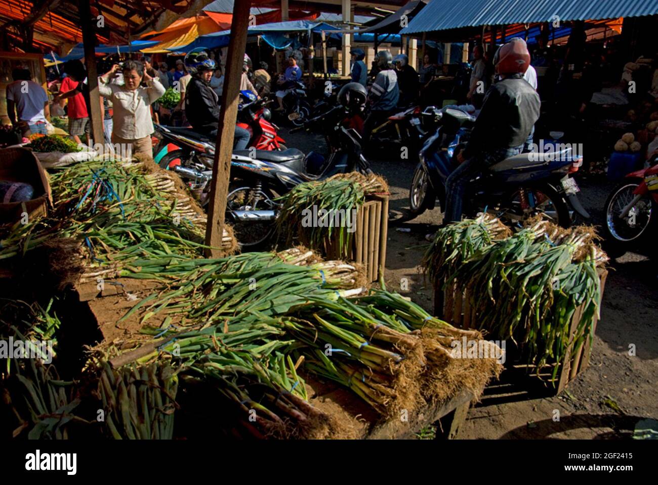 Traditional market in Tomohon, North Sulawesi, Indonesia Stock Photo ...