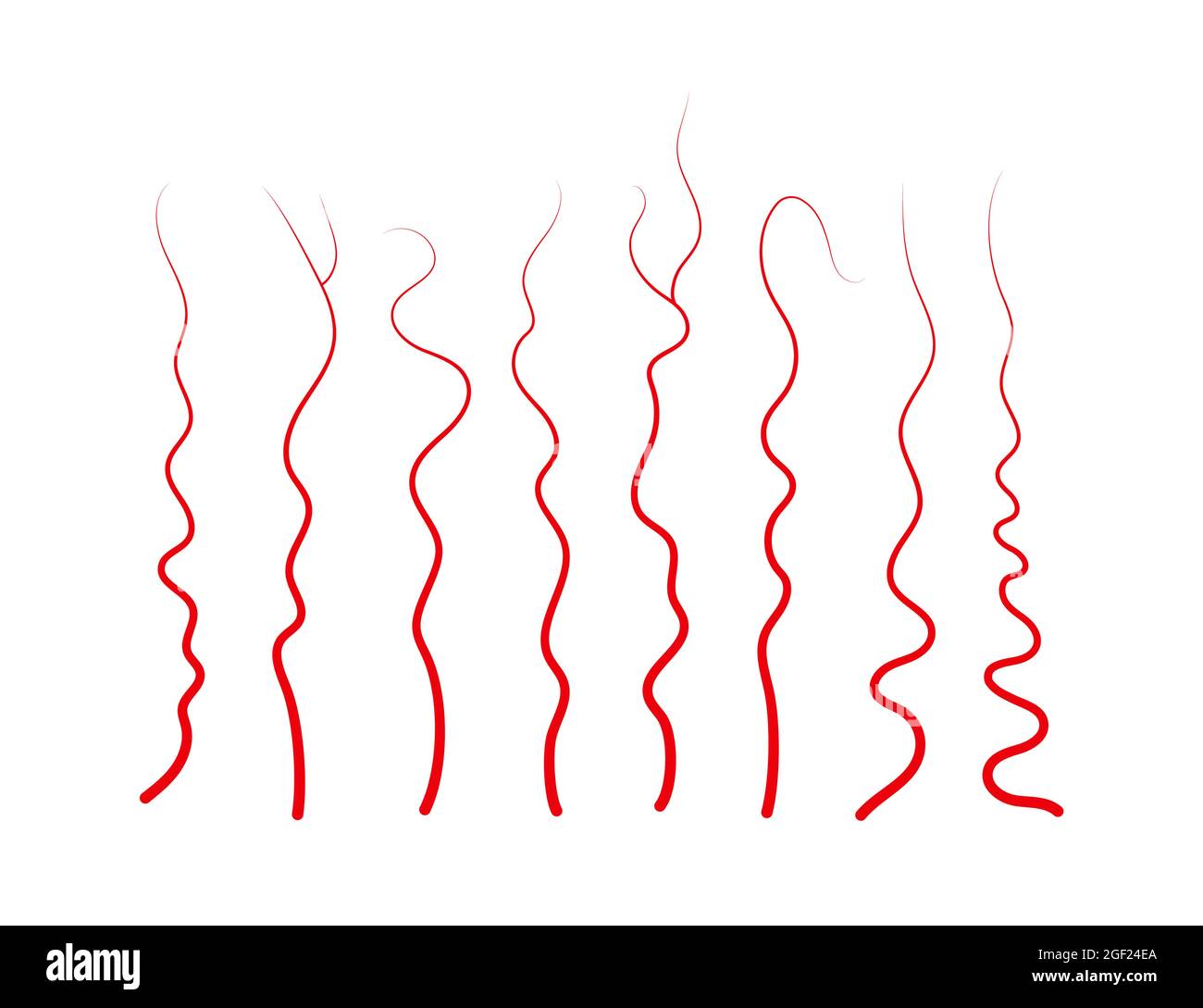 Set of human veins and arteries. Red blood vessels and capillaries ...
