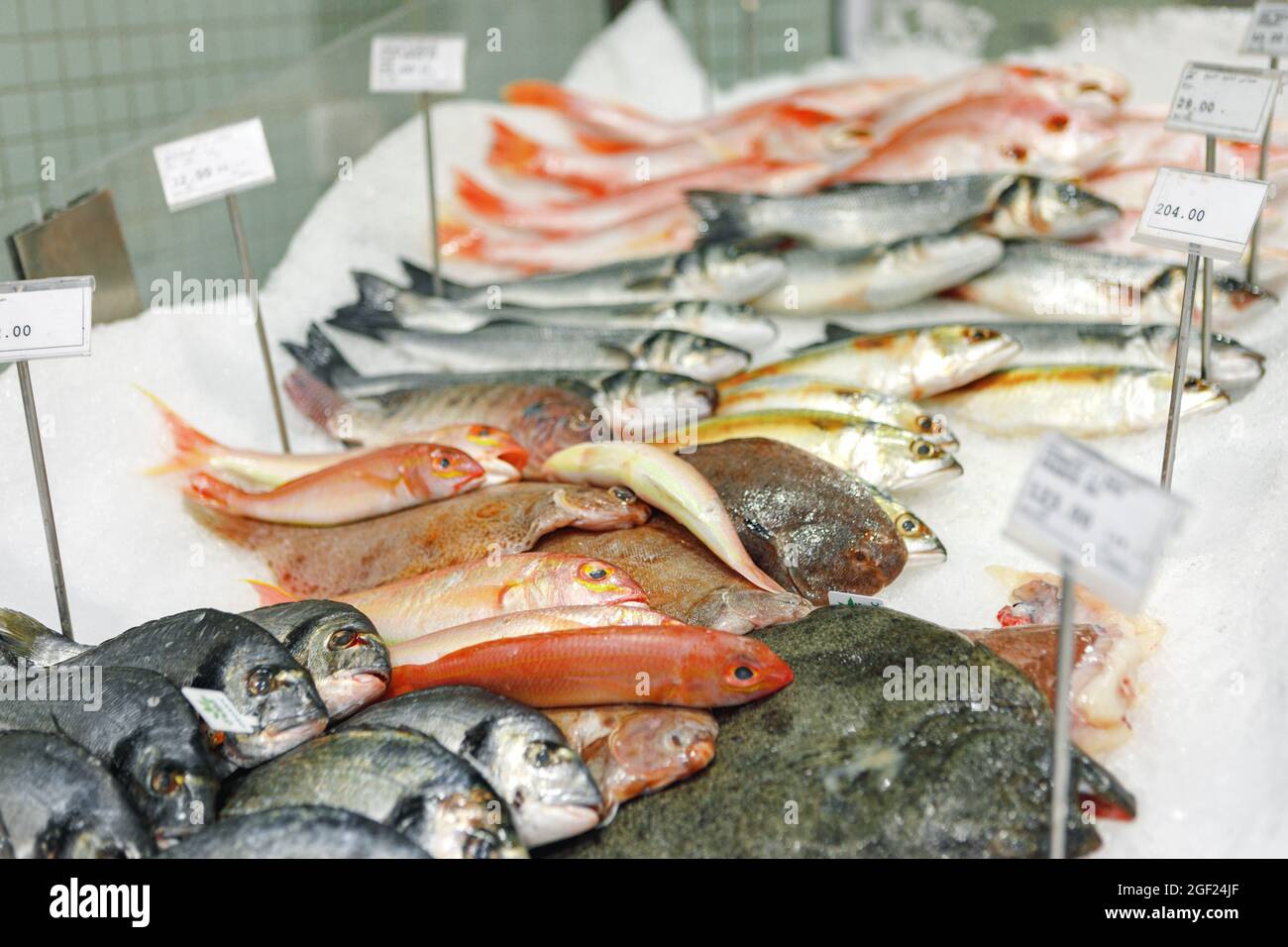 Catch Fresh Fish Counter High Resolution Stock Photography and Images ...