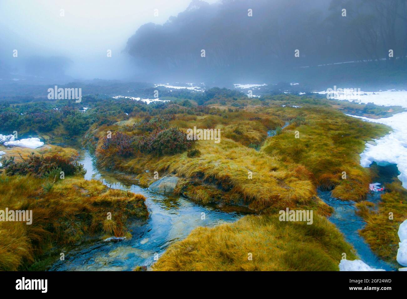 Australian snowfields hi-res stock photography and images - Alamy