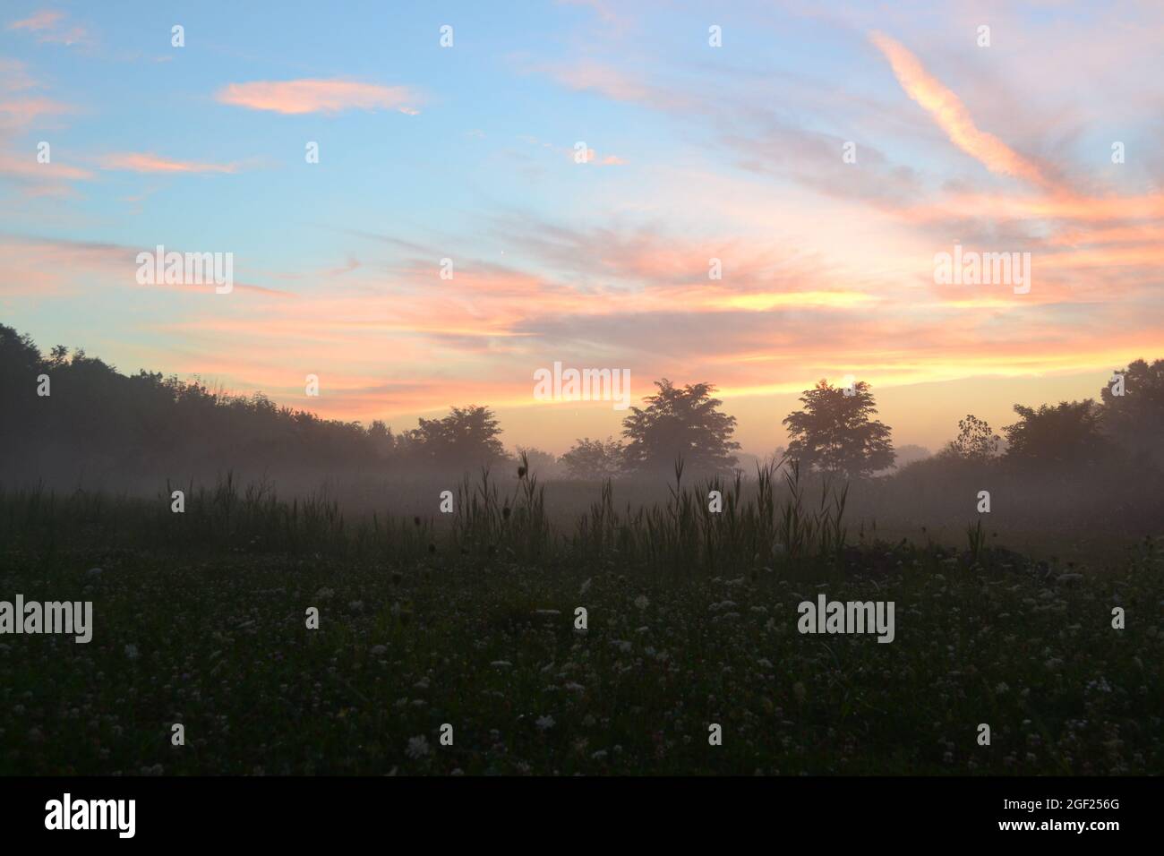 Awake awakening hi-res stock photography and images - Alamy