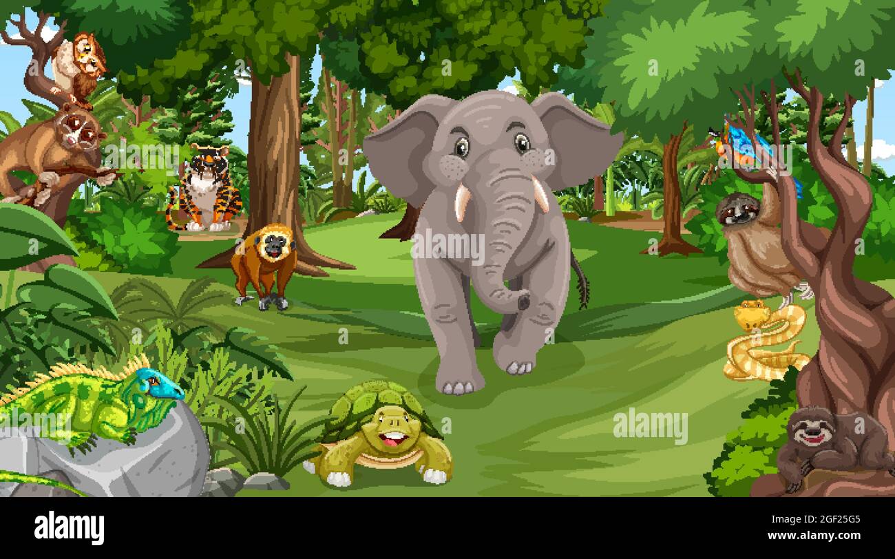 Forest at daytime scene with many different wild animals illustration ...