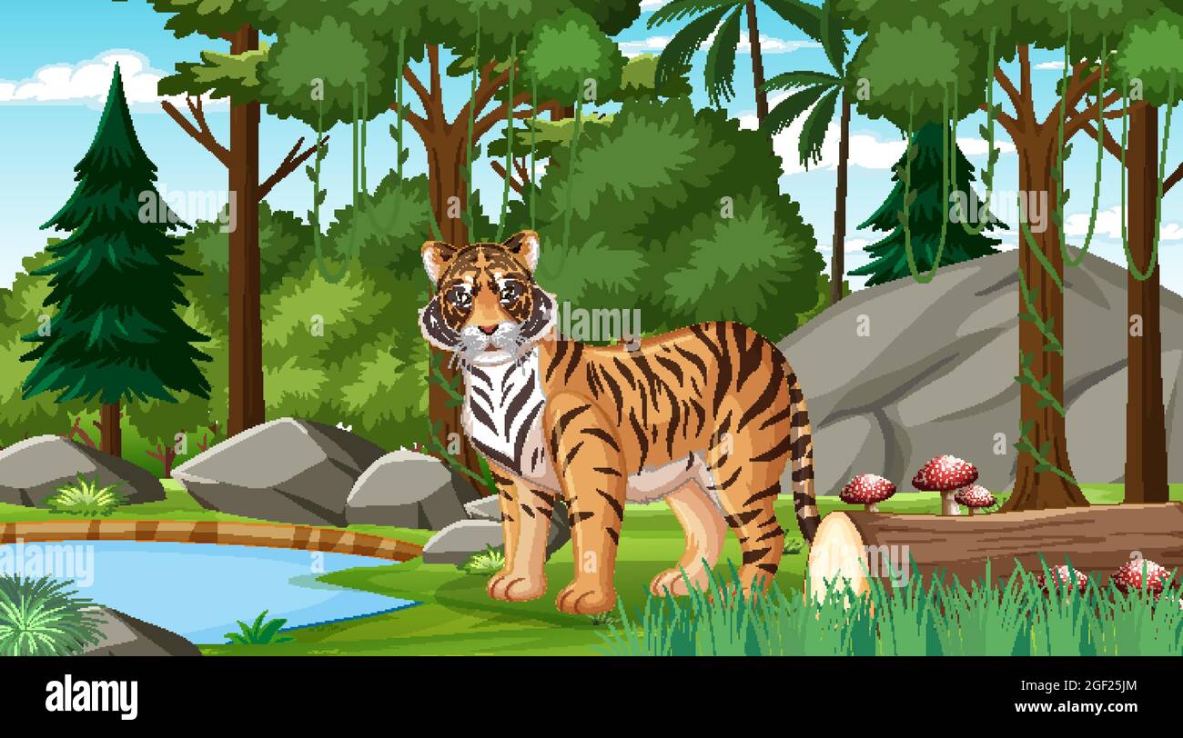 A tiger in forest or rainforest scene with many trees illustration ...