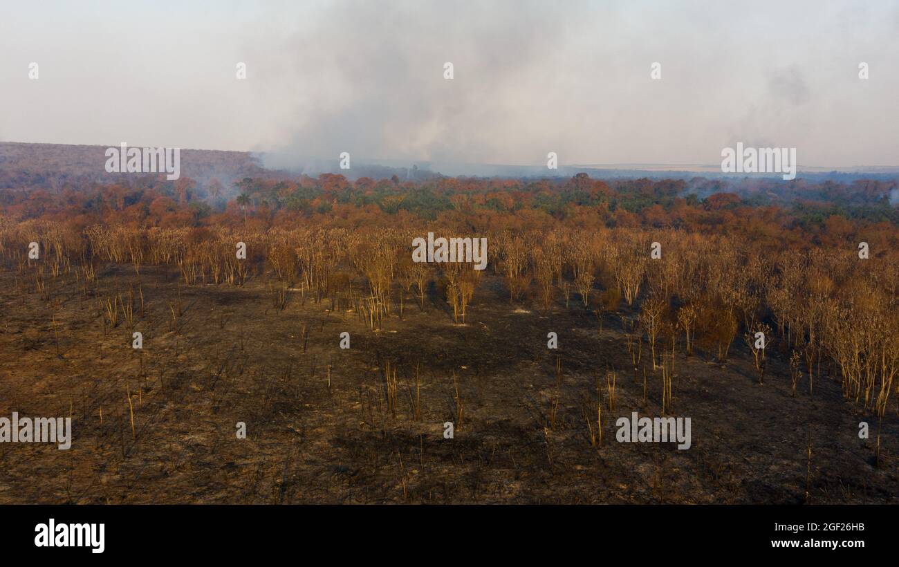 LUÍS ANTÔNIO, SP - 21.08.2021: INCÊNDIO NA RESERVA DE JATAI - A major ...