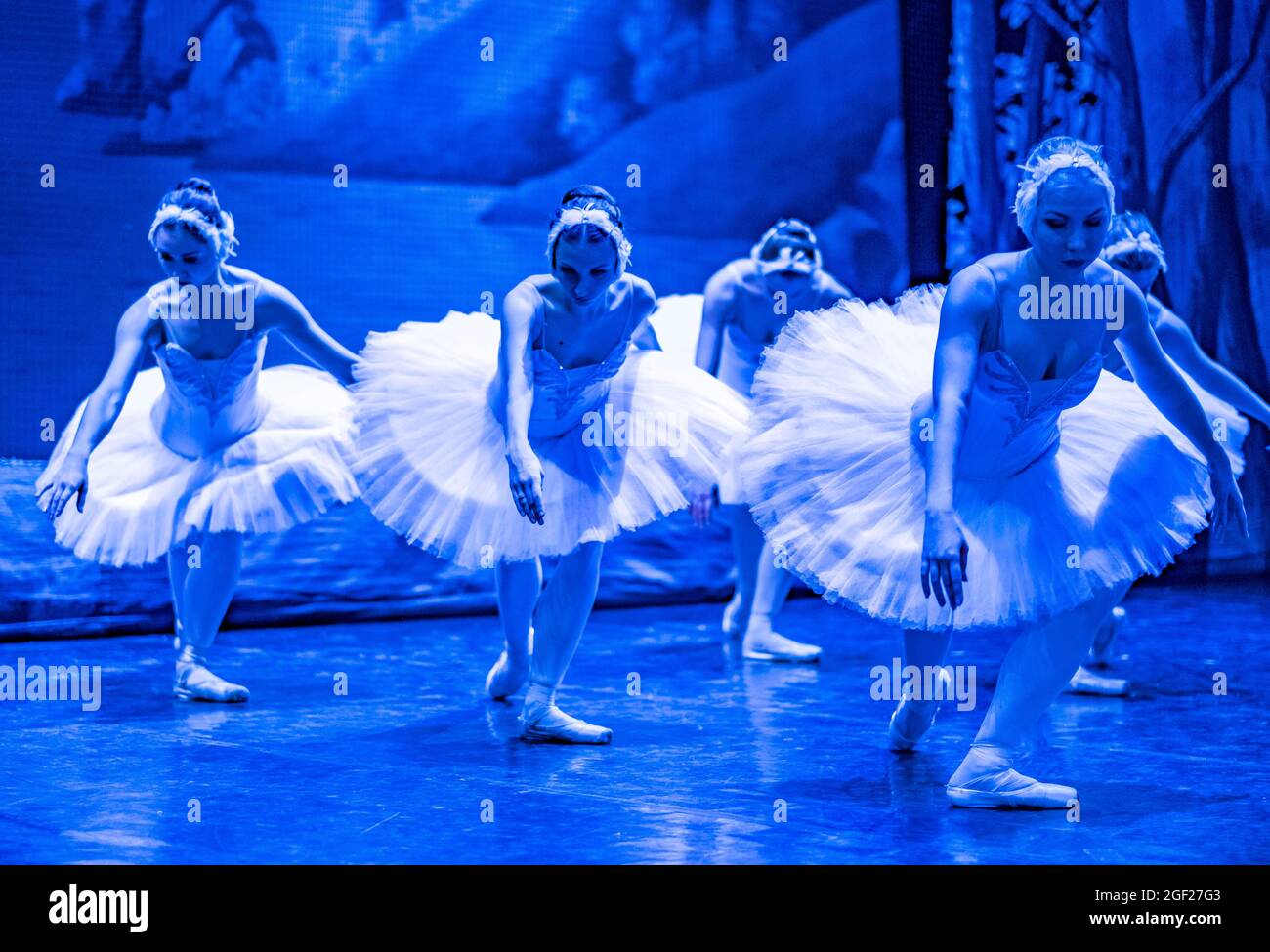 Swan lake stage backdrop hi-res stock photography and images - Alamy