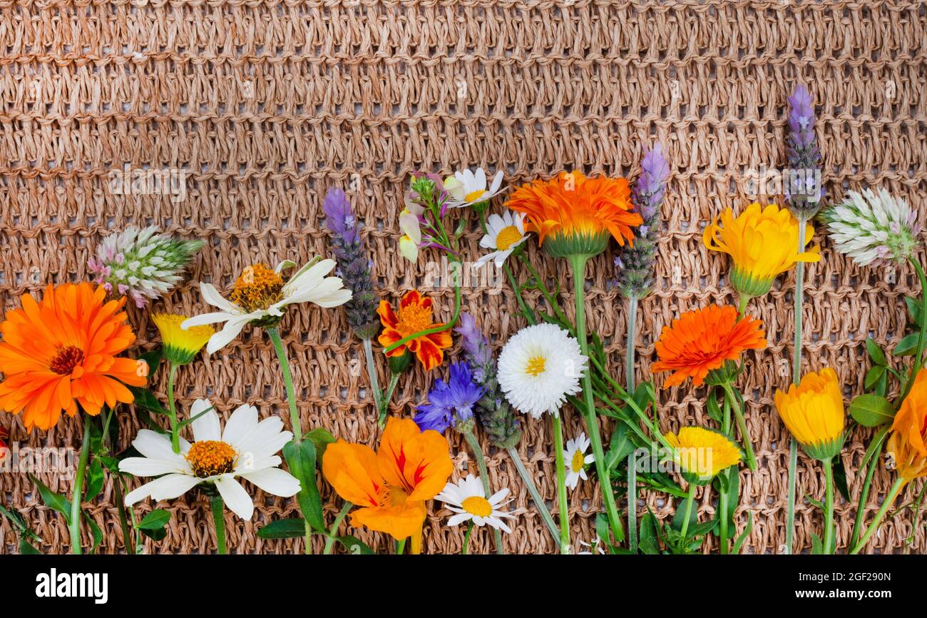 Springtime wildflowers on rustic surface Stock Photo - Alamy