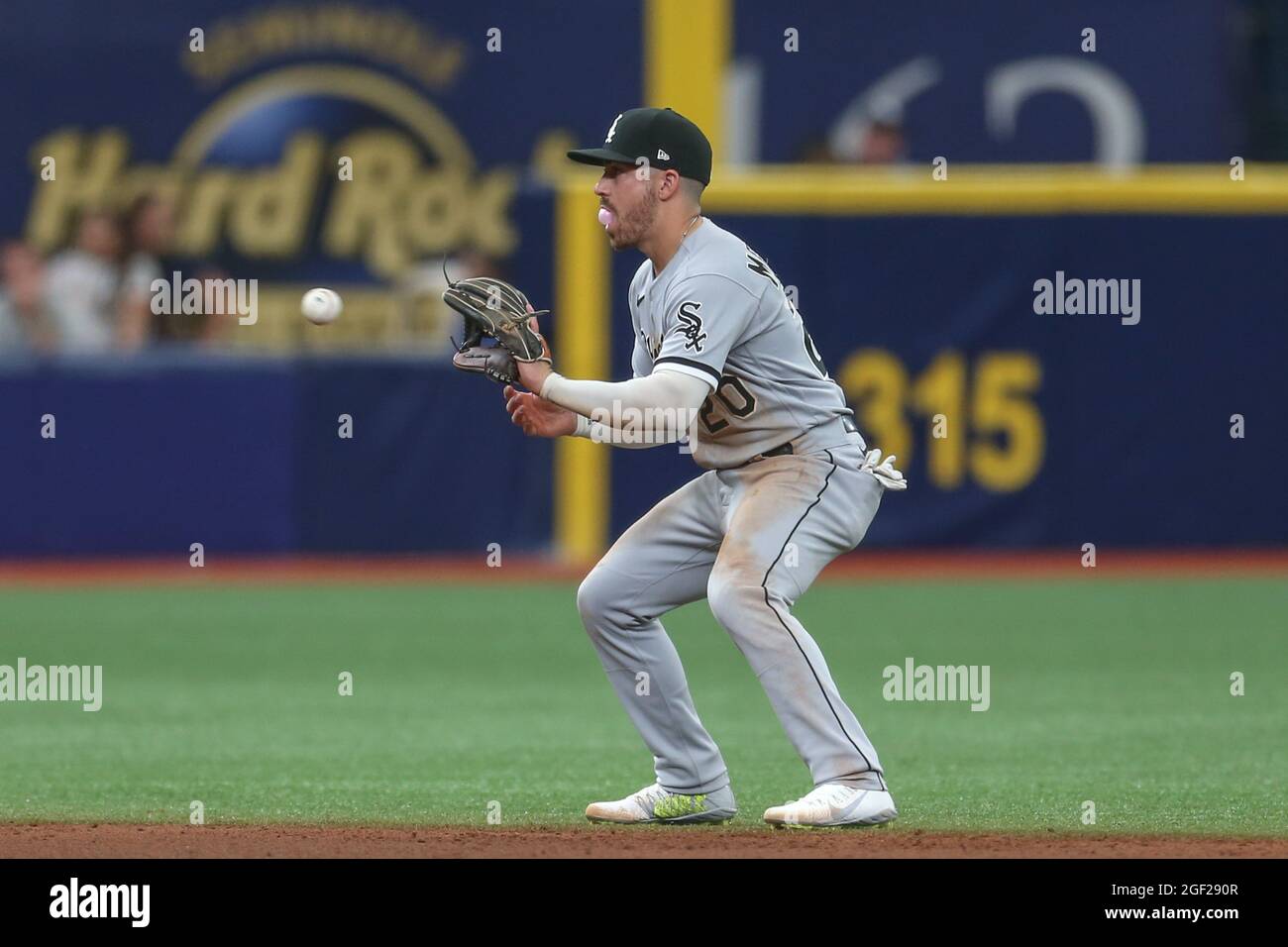 St. Petersburg, FL. USA; Chicago White Sox second baseman Danny Mendick ...