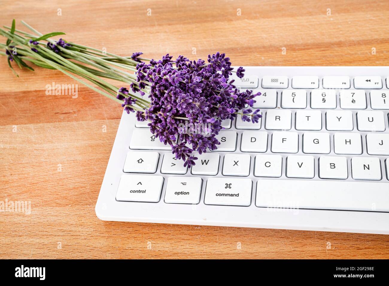 Lavender essences hi-res stock photography and images - Alamy