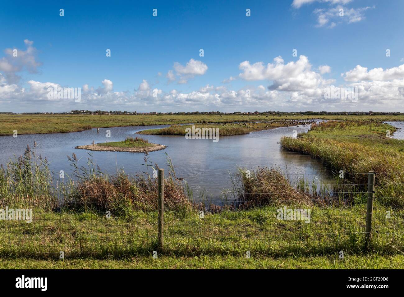 Marshside RSPB Reserve; Southport; UK Stock Photo - Alamy