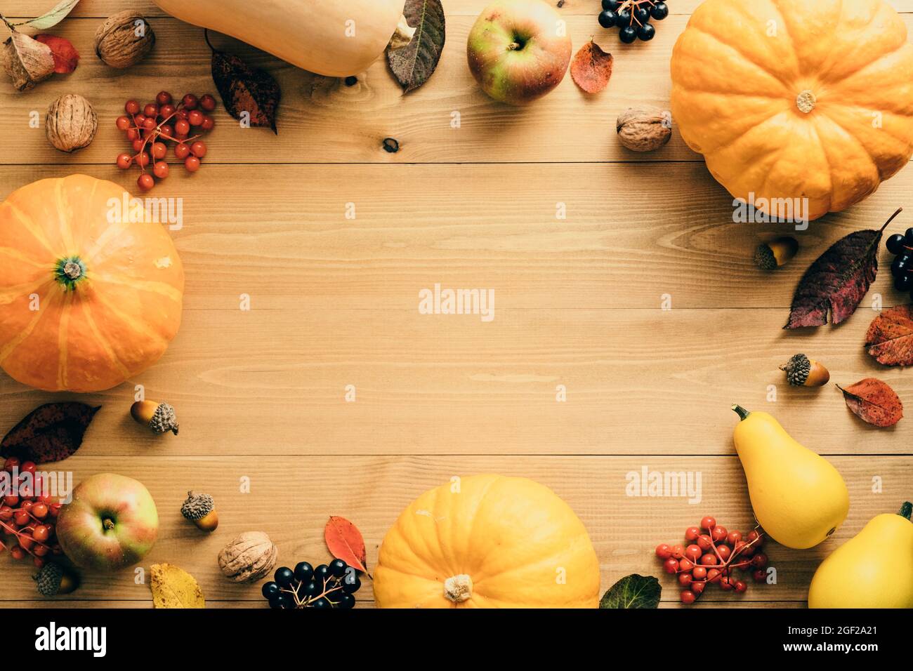 Autumn frame made of pumpkins, fallen leaves, apples, red berries ...