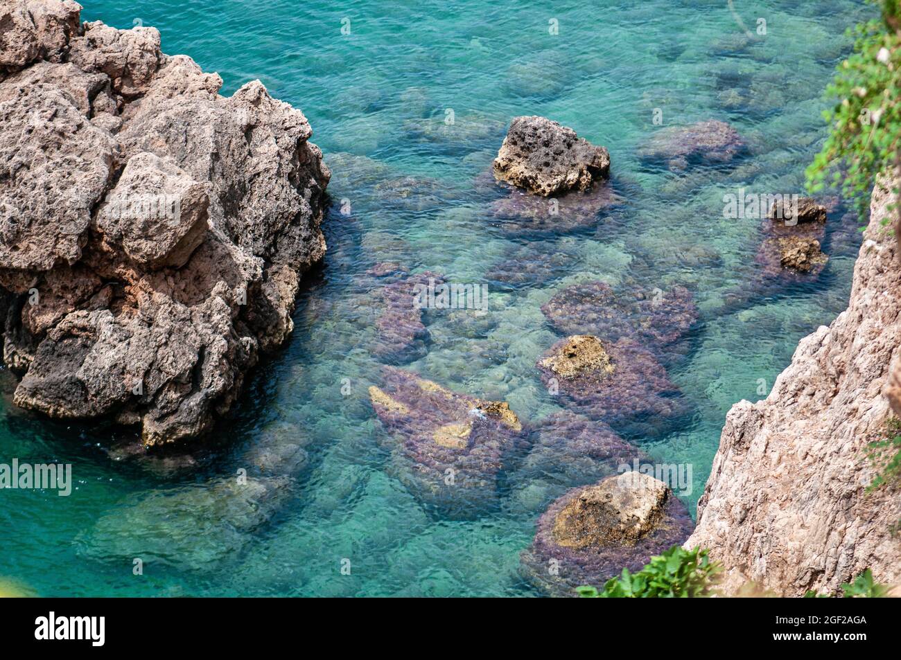 Clear, blue water flow in tropical forest somewhere in Turkey Stock ...