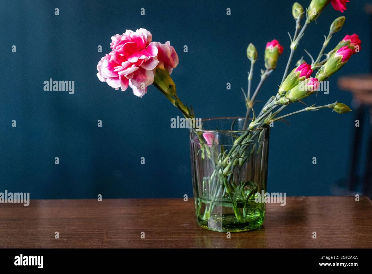 Close-up of several pink carnations in glass, selective focus Stock ...