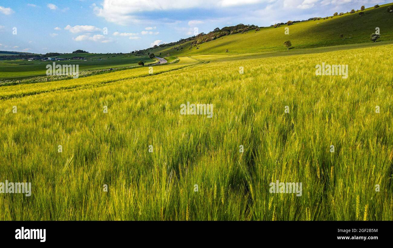Farm land view taken with a drone, West Sussex, UK Stock Photo - Alamy