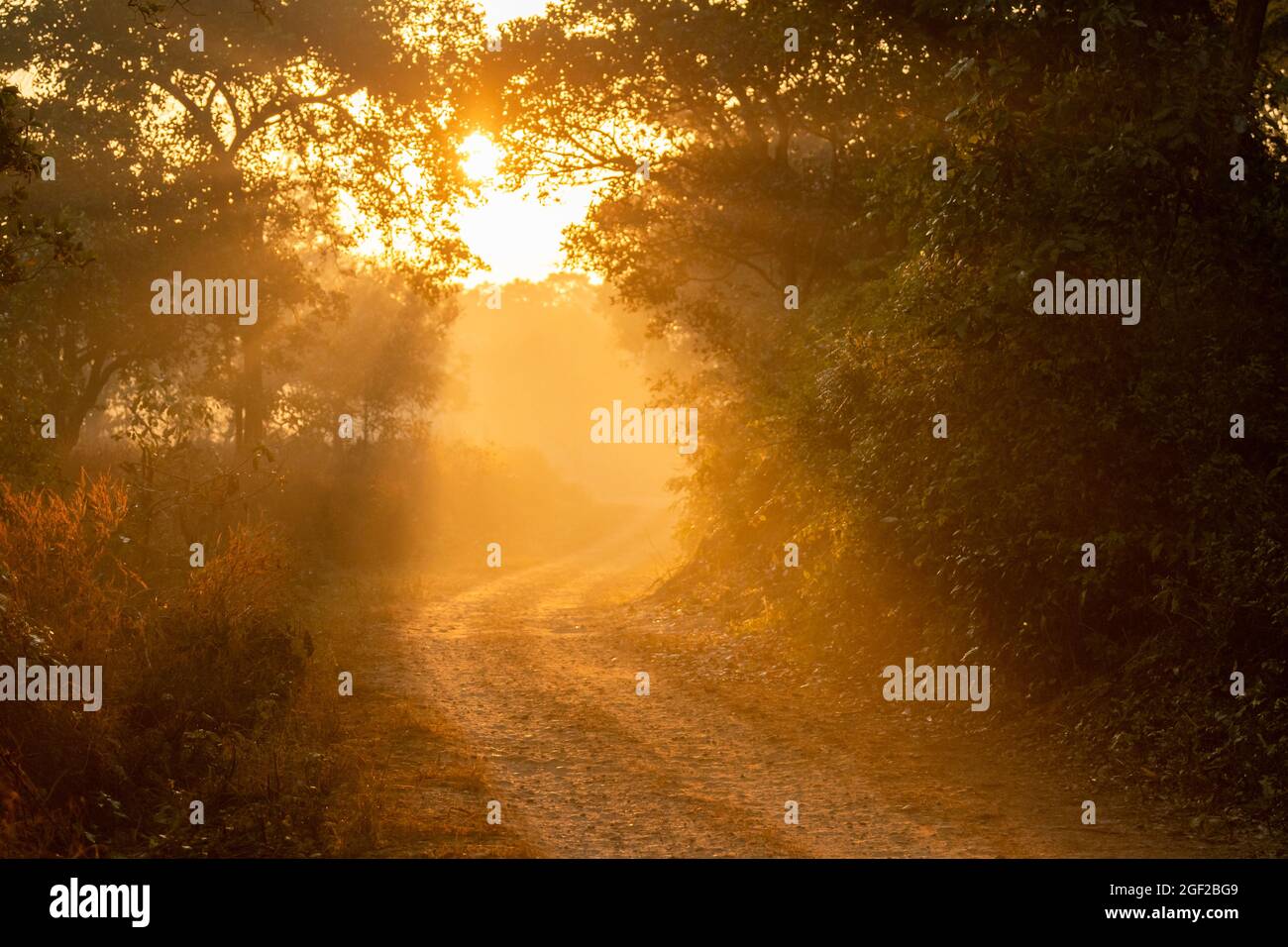 Tyndall effect light hi-res stock photography and images - Alamy
