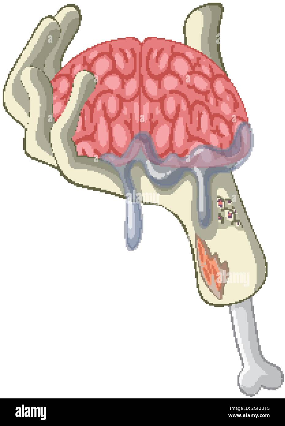 Zombie hand holding blank Cut Out Stock Images & Pictures - Alamy