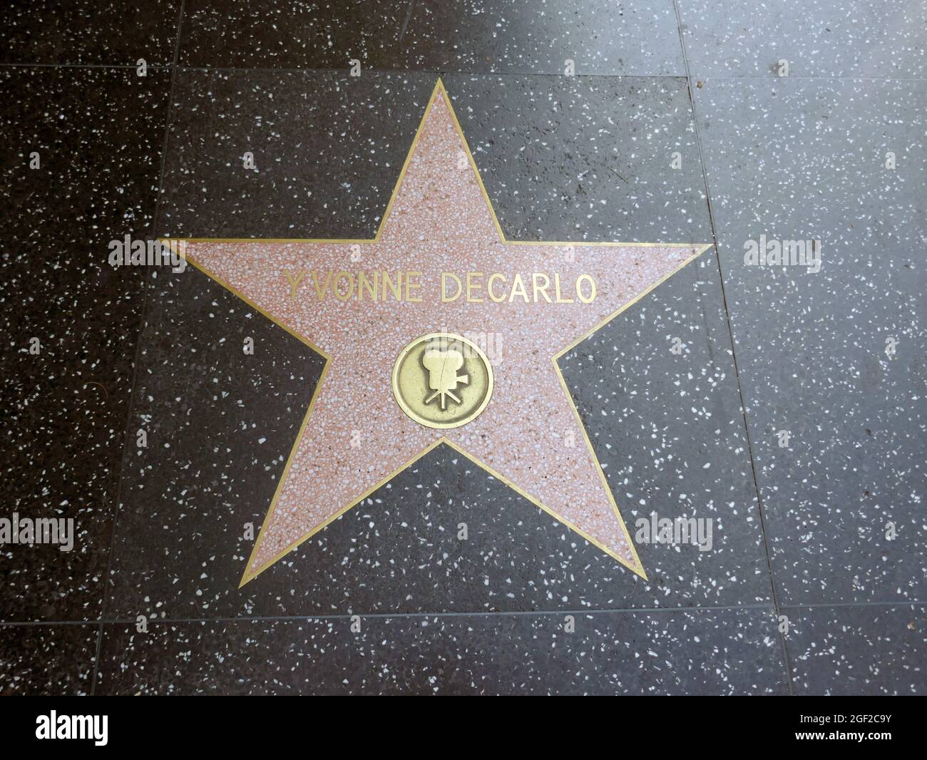 Yvonne decarlop hi-res stock photography and images - Alamy