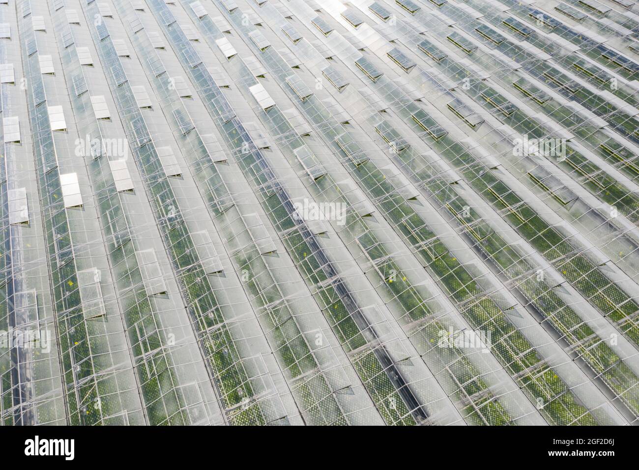 Glasshouse farming hi-res stock photography and images - Alamy