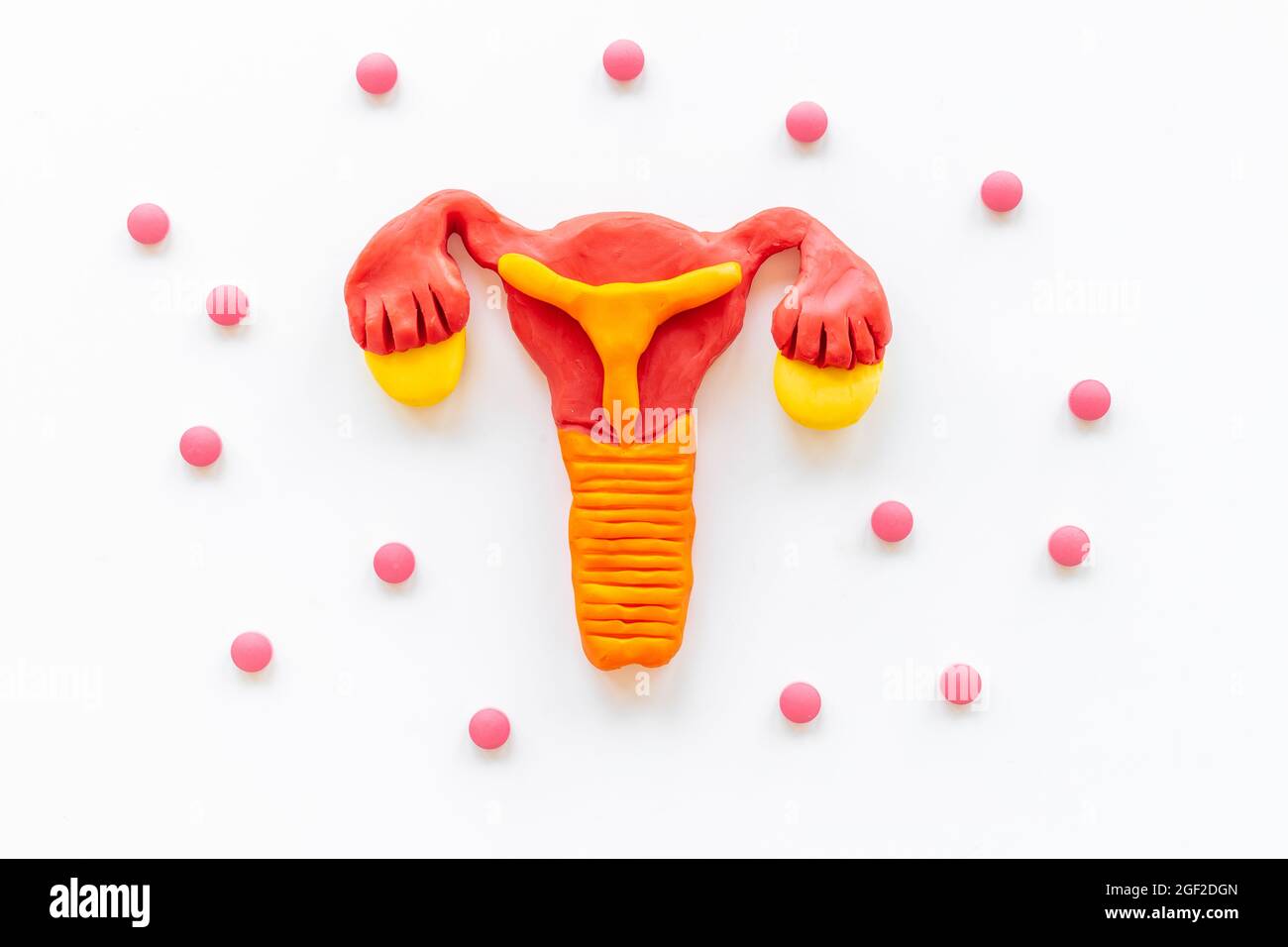 Female uterus and ovaries with fallopian tubes - - health reproductive ...