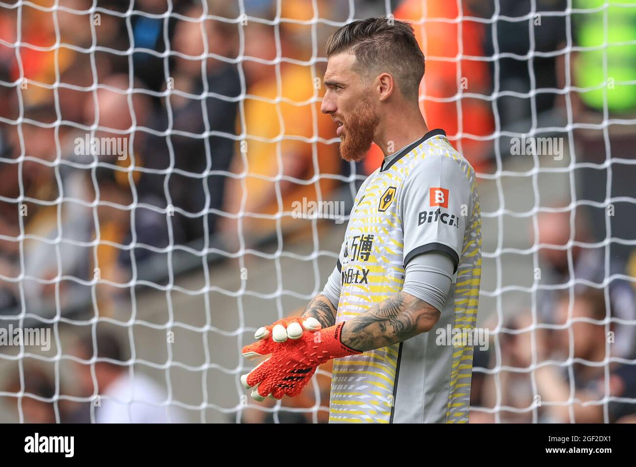 Jose sa wolves hi-res stock photography and images - Alamy