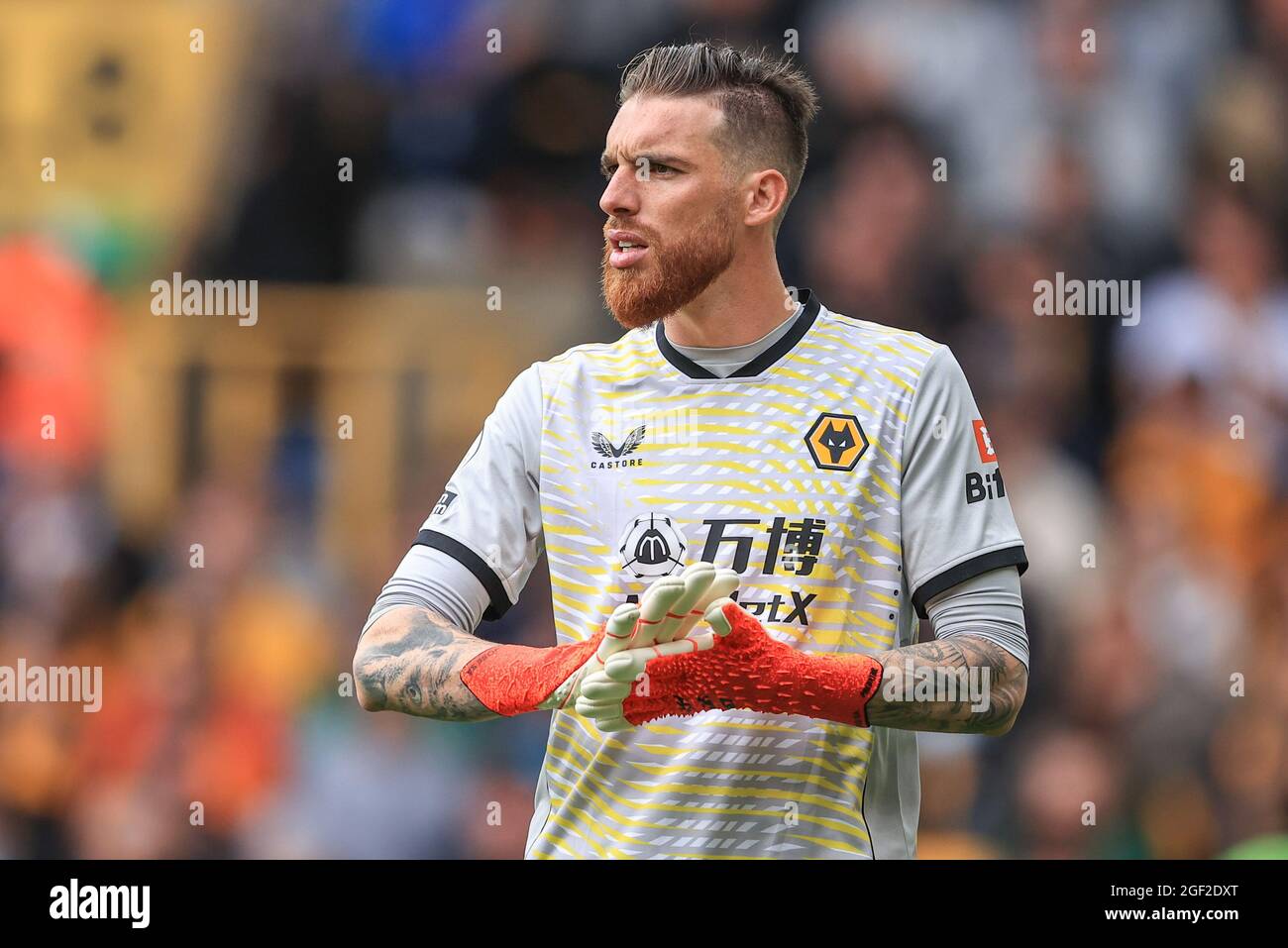 Jose sa wolves hi-res stock photography and images - Alamy