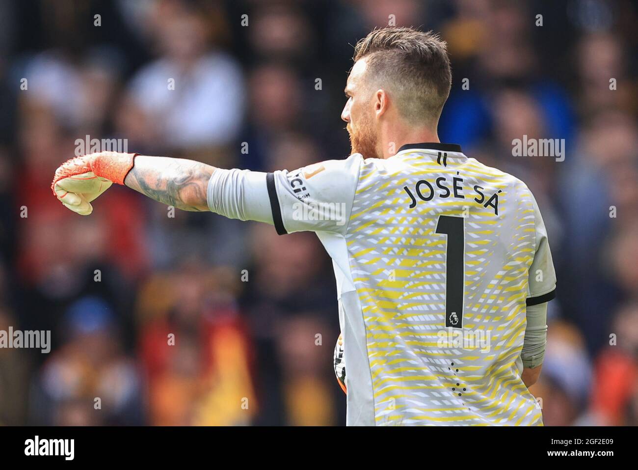 Jose sa wolves hi-res stock photography and images - Alamy