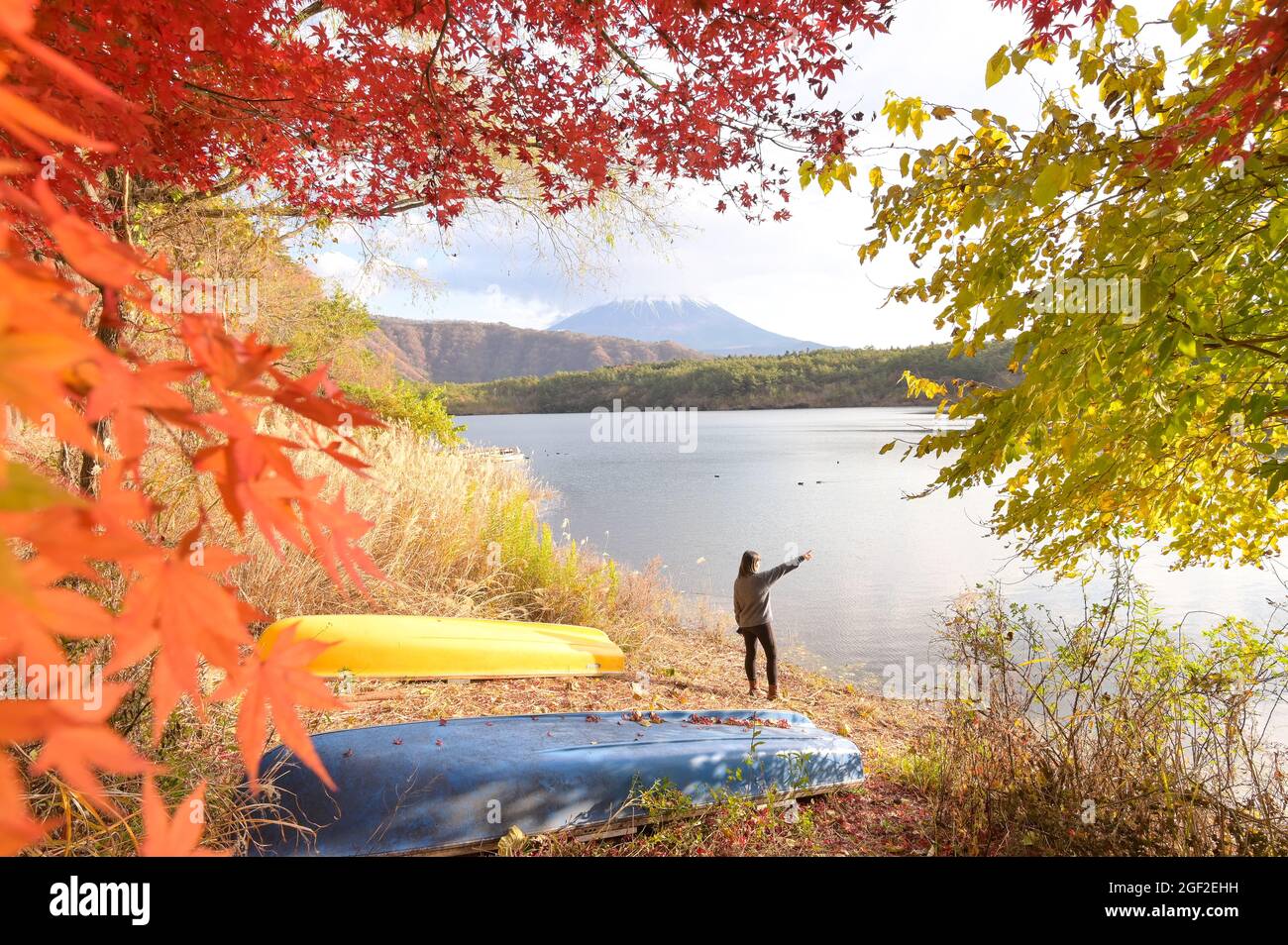 Fuji autumn color image hi-res stock photography and images - Alamy