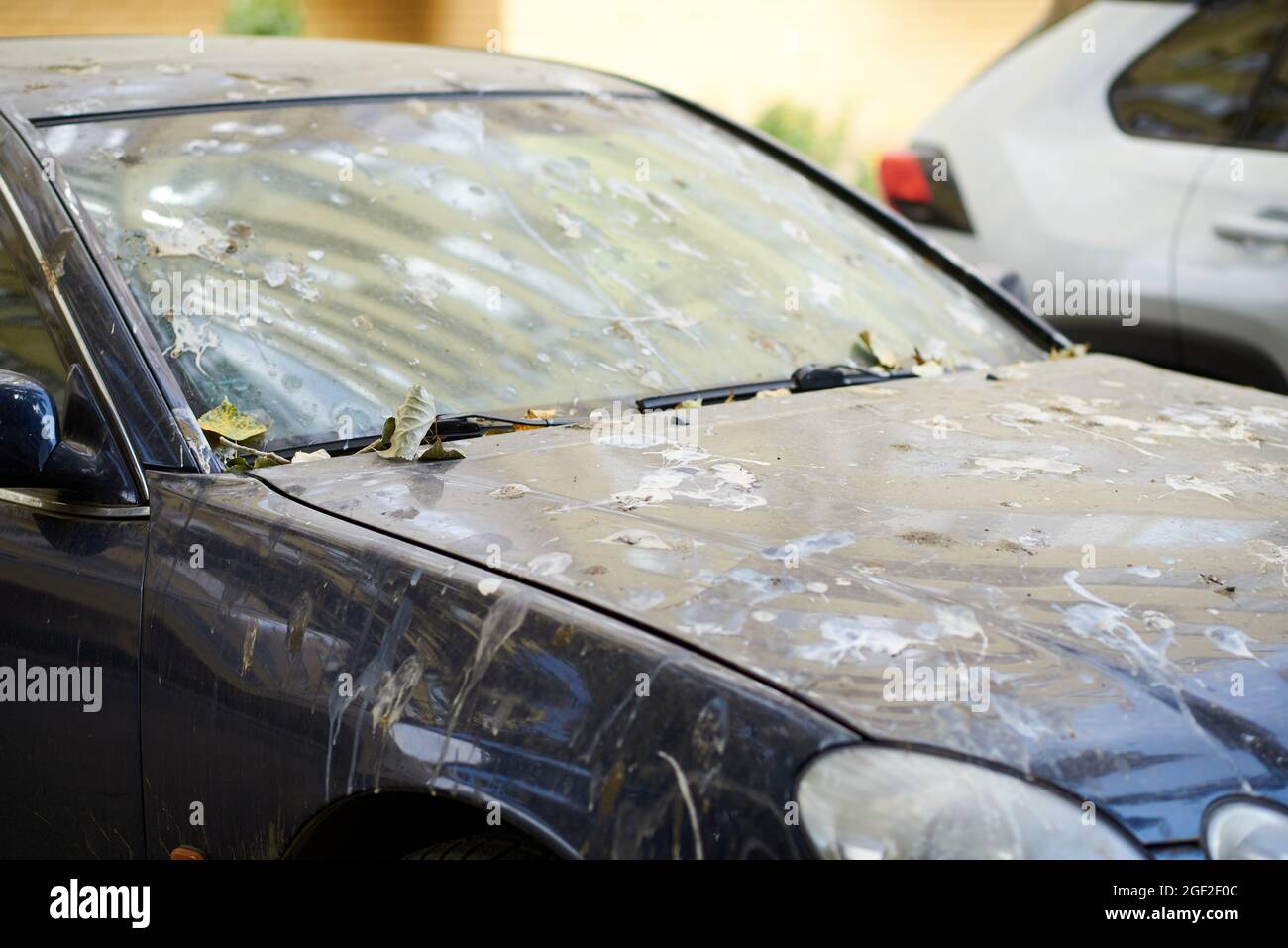 Very dirty car, dirty with bird droppings Stock Photo - Alamy