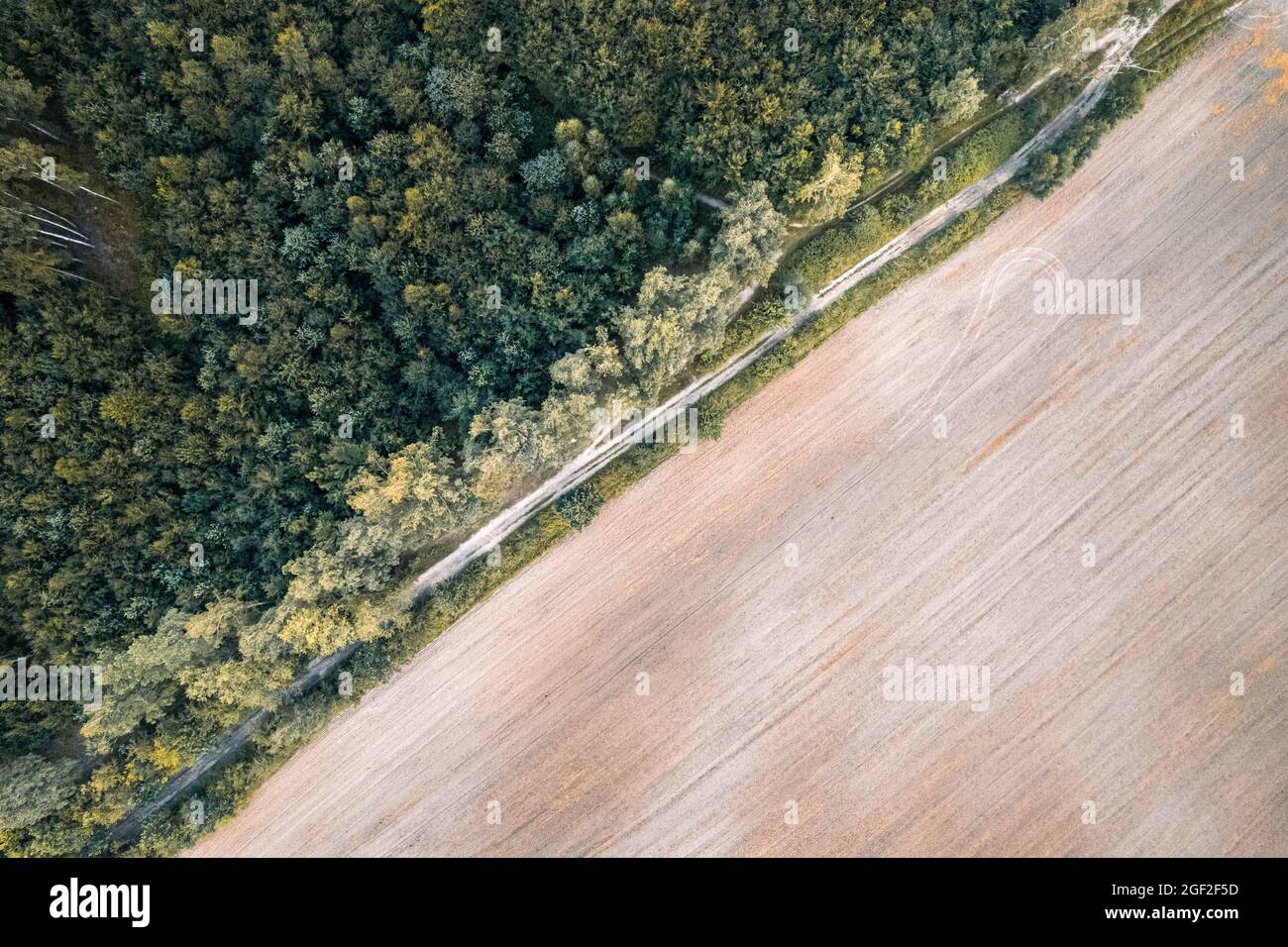 Aerial forest top down shot hi-res stock photography and images - Alamy